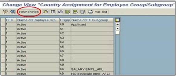 Learn SAP HR/HCM: Employee Group & Employee Subgroup